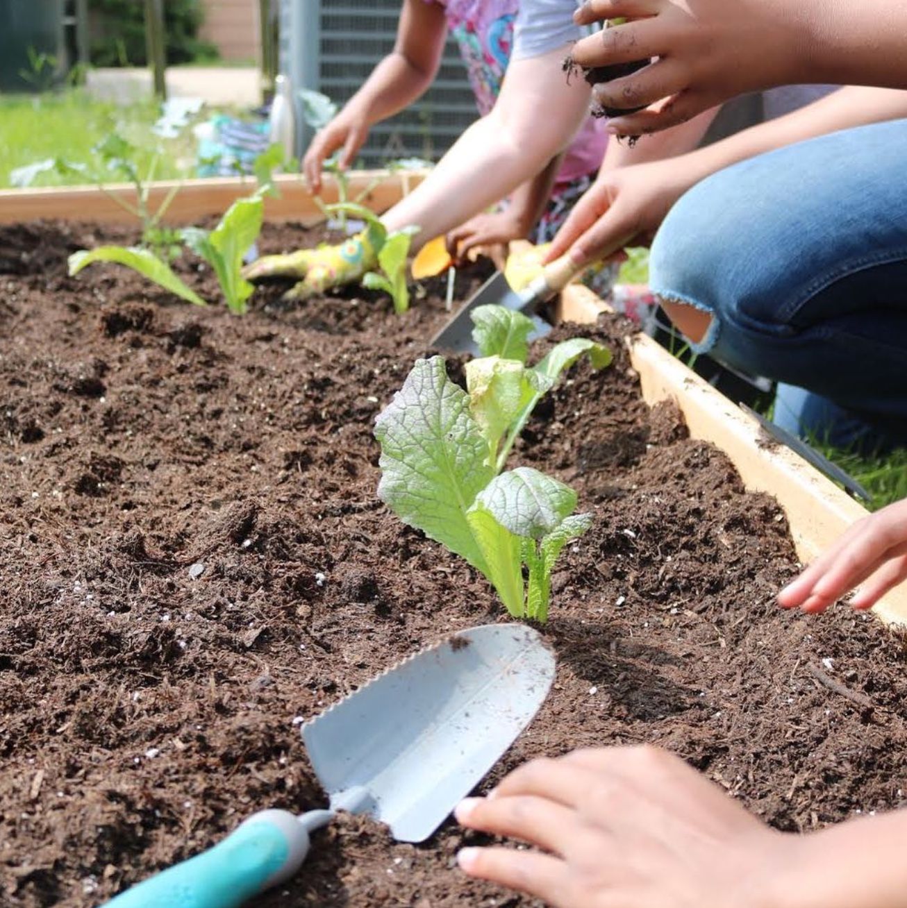 Mission - Gardenworks Project