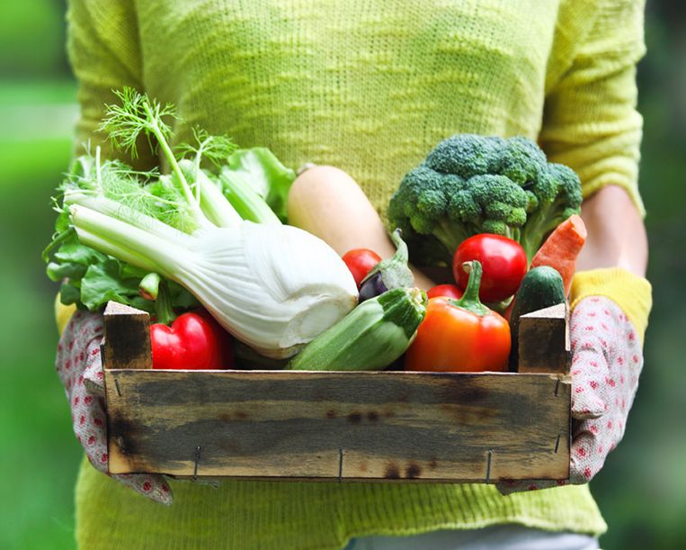 Food Growers Network - Gardenworks Project