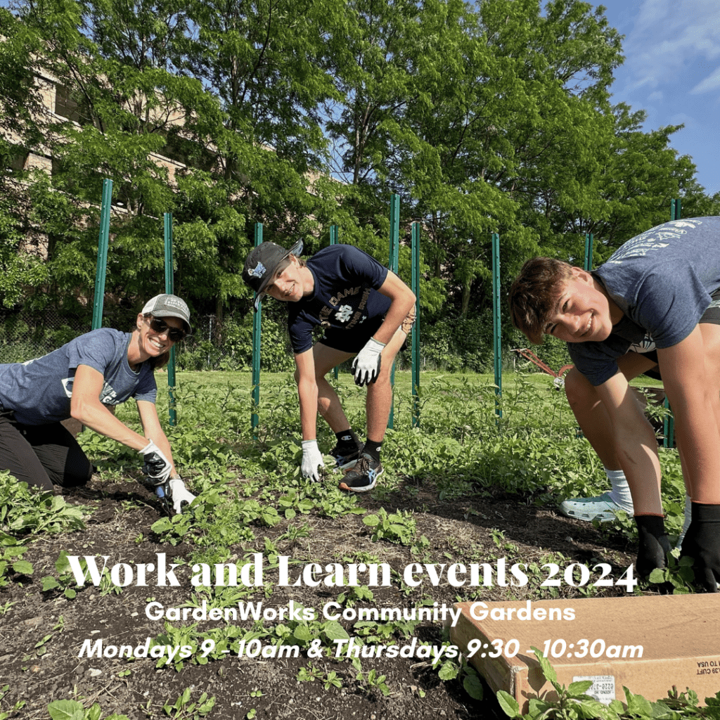 About - Gardenworks Project
